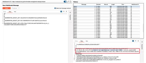 How To Prevent Streamlit Showing Sensitve Server Information Using