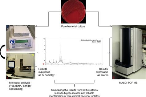 Workflow For Nucleic Acid Andor Mass Spectrometry Based Detection Of