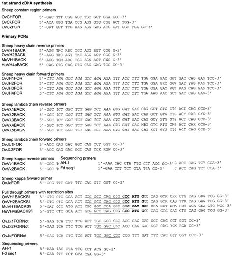 Primers Were Designed Using Published Sheep Antibody Gene Sequences