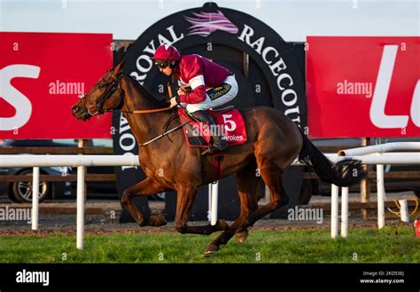 Belfast Uk 5th November 2022 King Of Kingsfield And Mr Jamie Codd Take The Ladbrokes Pro Am