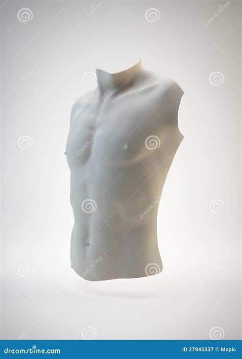 Male Chest Sculpture Stock Illustration Illustration Of Athletic