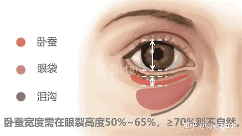 你不知道的卧蚕审美，如何将卧蚕的价值发挥到最大？ 知乎