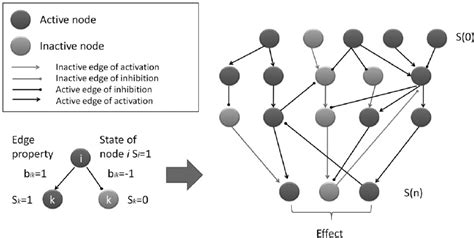 Scheme Of Regulatory Network Modelling Download Scientific Diagram