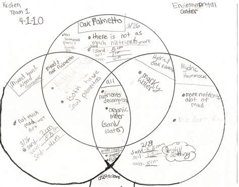 Jills Discovering Science Structured Inquiry Lesson Reflection