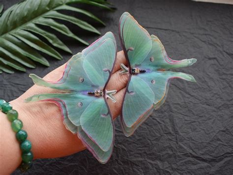 Green Luna Moth Extra Large Lapel Pin Brooch Layered Wings Silk