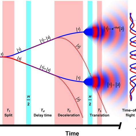 Experimental Sequence Schematic Representation Not To Scale The Bec Download Scientific