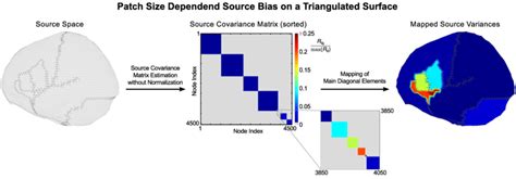 10 Demonstration Of The Patch Size Dependent Source Variance Bias