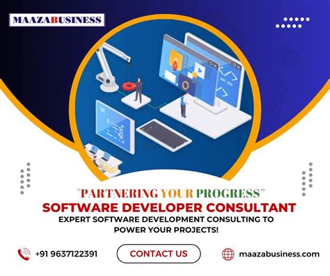 Software Developer Consultant