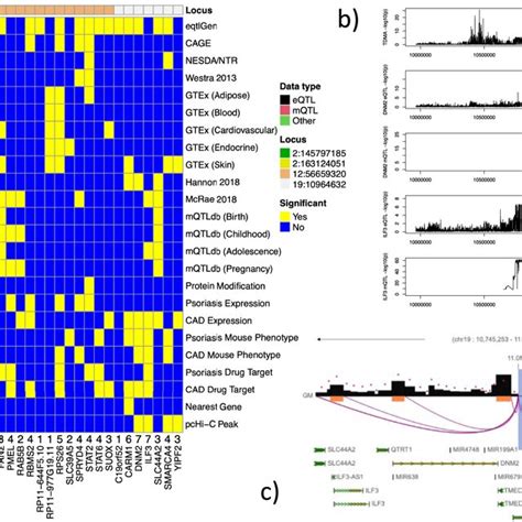 Gene Prioritization A Matrix Of Candidate Genes By Supporting Evidence Download Scientific