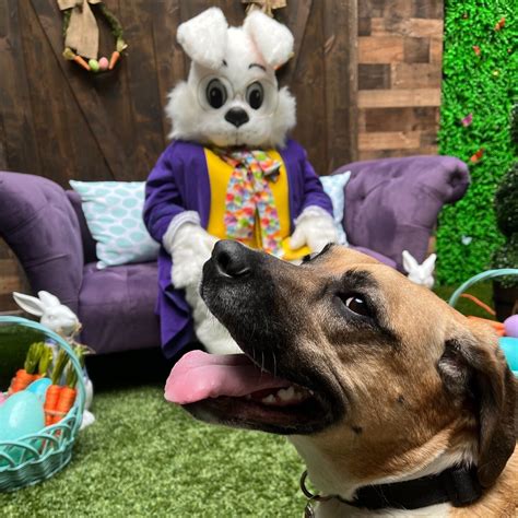 Preit Properties Are Celebrating Springtime Preit