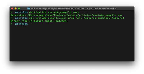 Excluding Dart Code From The Release Compiled Executable