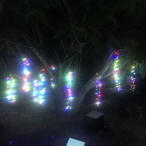 Led Lights Led Cluster Lights Firecracker