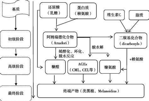 什么是「美拉德反应」，反应过程是怎样的？ 知乎