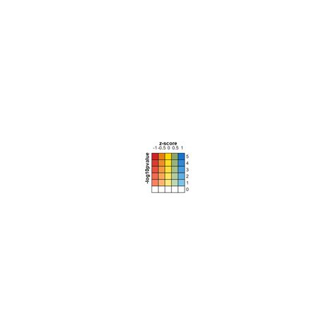 Display Colors From Bivariate Color Function — Makelegendbivariate • Multienrichjam