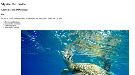 Html And Css Workshop Part 1 Template