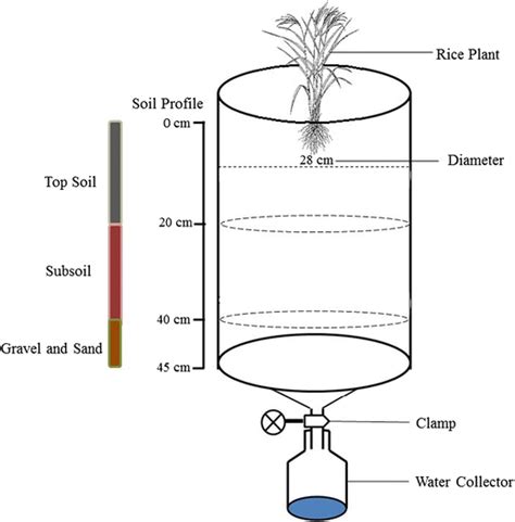 Schematic Diagram Of Soil Column Used In Experiment Download Scientific Diagram