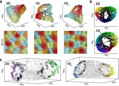 Modeled Grid Cells Aligned By A Flexible Attractor Elife