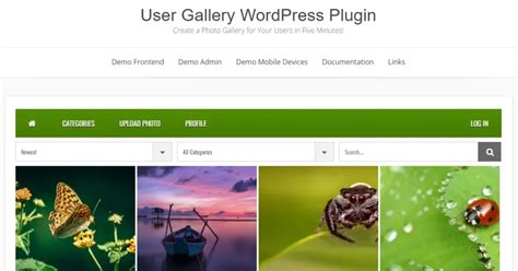 7 best wordpress gallery plugins for stunning image displays