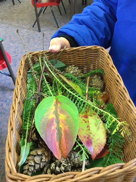 Img 3973 Collin Primary School Respect Responsibility Honesty And