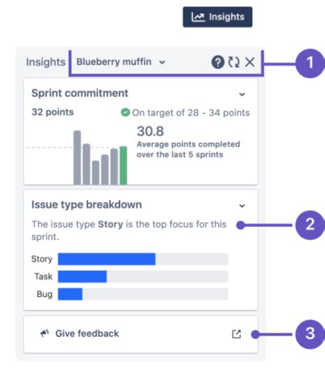 View And Understand Insights In Team Managed Projects Jira Software Cloud Atlassian Support