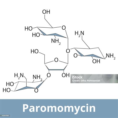 Paromomycin Stock Illustration Download Image Now Amebiasis Antibiotic Atom Istock