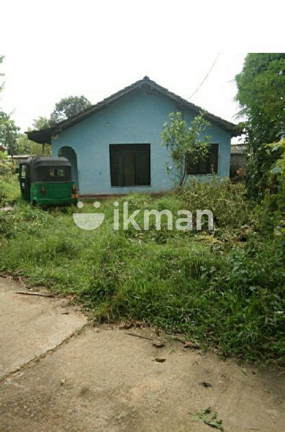 House For Sale Nittambuwa Ikman