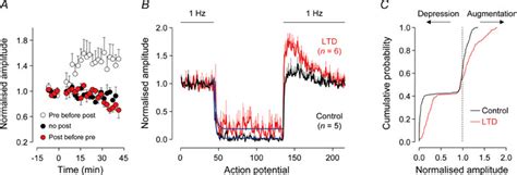 The Use Dependent Dynamics Of Synaptic Transmission Are Modulated By Download Scientific