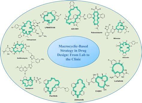Dr Ramesh Babu R On Linkedin Macrocyclic Compounds Have Emerged As Powerful Tools In Drug Design