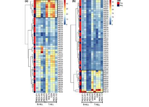 A Cluster Of Donors Dominate Against Several ALL Cells Unsupervised
