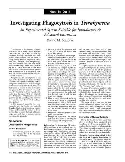 Pdf Investigating Phagocytosis In Tetrahymena