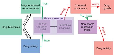 Gram Negative Rods Algorithm