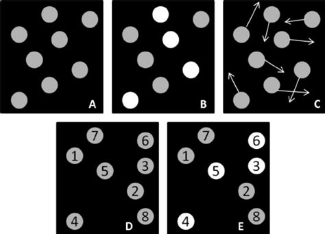 neurotracker 3 dimensional 3d multiple object tracking assessment