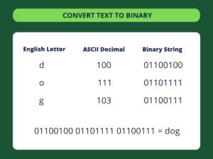Text To Binary Code Converter ConvertBinary