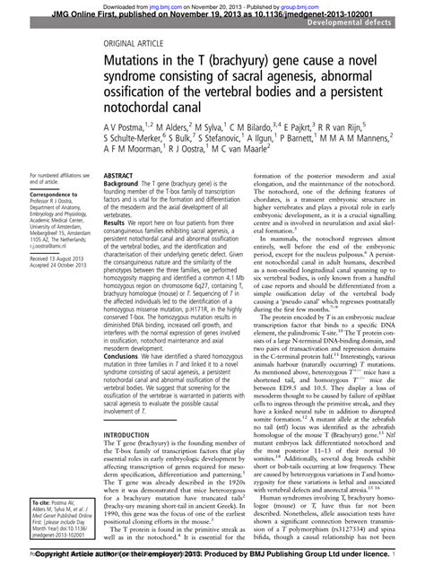 Pdf Mutations In The T Brachyury Gene Cause A Novel Syndrome