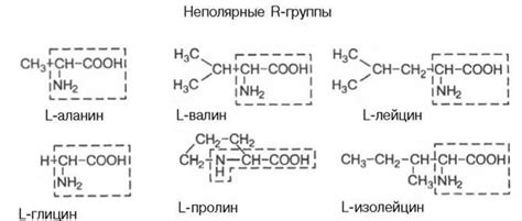 Классификация аминокислот - Аминокислотный состав белков - Химия белков