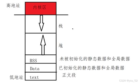 C语言和c中的动态内存管理 Malloc和free的区别 Csdn博客