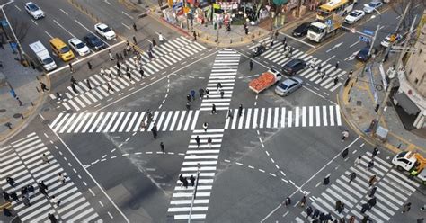 1종 자동 운전면허 도입x자 횡단보도 늘린다 왜