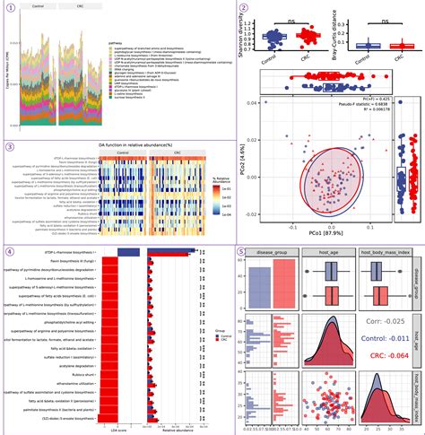Wms Function — My Site Title