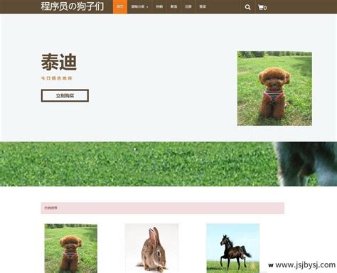 jsp宠物店管理系统 计算机毕设源码网