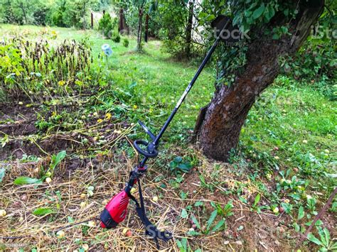 잔디 깎는 기계는 나무 근처에 서 있다 깎는 기계가 사과 나무 근처에 서서 정원사를 기다리고 있습니다 황색 가을 잔디를 수확 토양과 오래된 다년생 식물이있는 침대 옆에