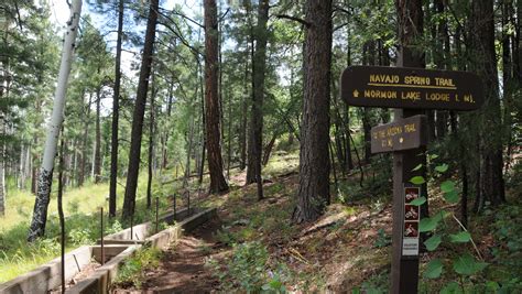 Hiking The Arizona Trail Near Flagstaff Mormon Lake Passage 29