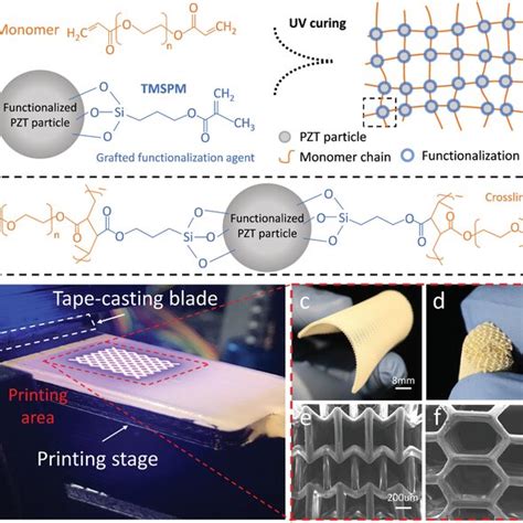 Xiaoyu Zheng University Of California Berkeley Ca Ucb Department Of Materials Science
