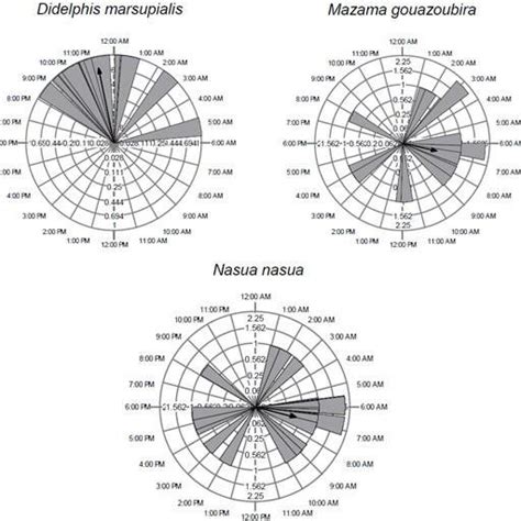 Circular Arc Graphs With Records Of Daily Activities Of The Species