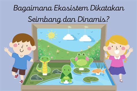 Bagaimana Ekosistem Dikatakan Seimbang Dan Dinamis