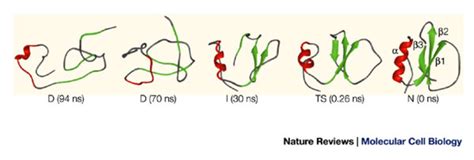 The Folding Pathway Of Chymotrypsin Inhibitor 2 The Figure Shows Download Scientific Diagram