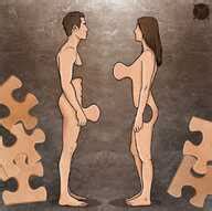 Post 5583691 Arashayesteh Inanimate Puzzle Post 5583691 Arashayesteh Inanimate Puzzle