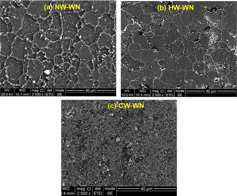 typical sem micrographs showing microstructure in weld nugget wn of