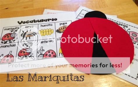 Debbies Spanish Learning Ladybug Unit {in Spanish}
