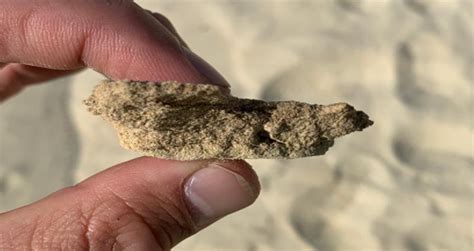 Sustainability For The Future Soil Stabilisation Techniques Rainstorm