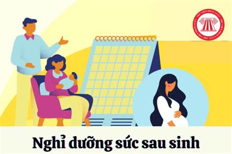 C Ngh D Ng S C Sau Sinh Bao Nhi U L N Trong N M